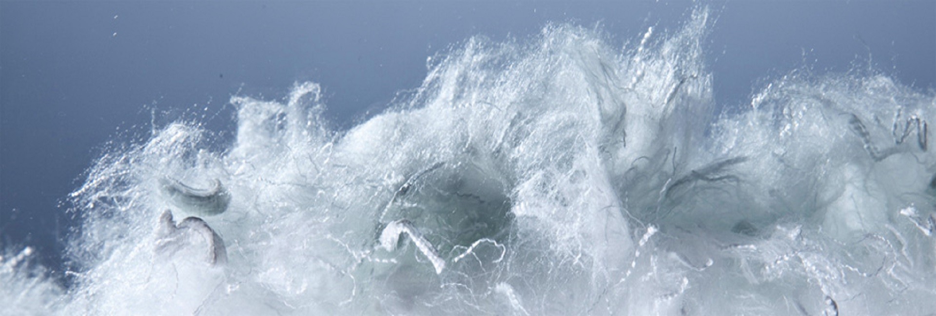 Quality Polyester Staple Fiber & Recycled Polyester Fiber factory from ...