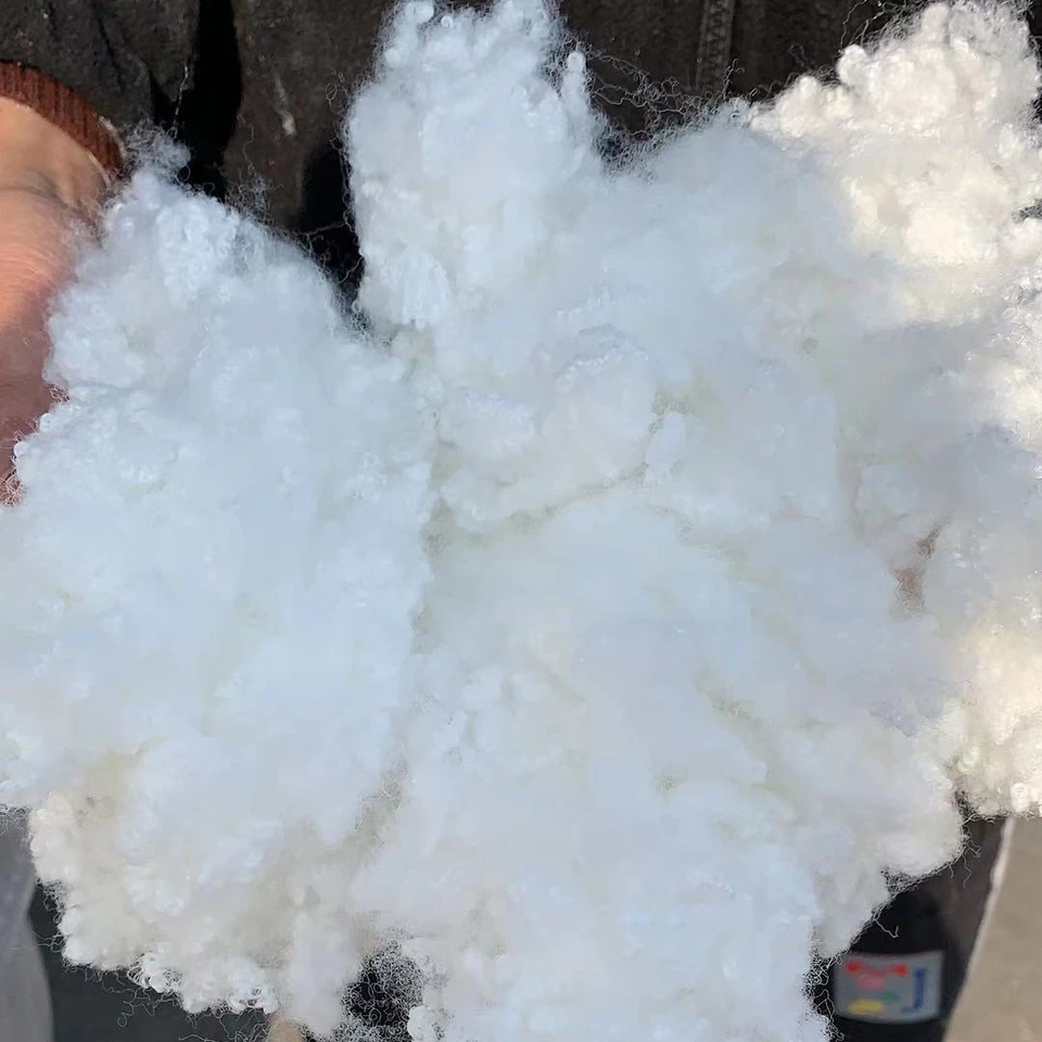 100% Polyester Staple Fibers In White Colors