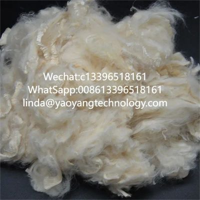 Organic Soybean Protein Fiber Renewable Soy Bean Fiber Sustainable